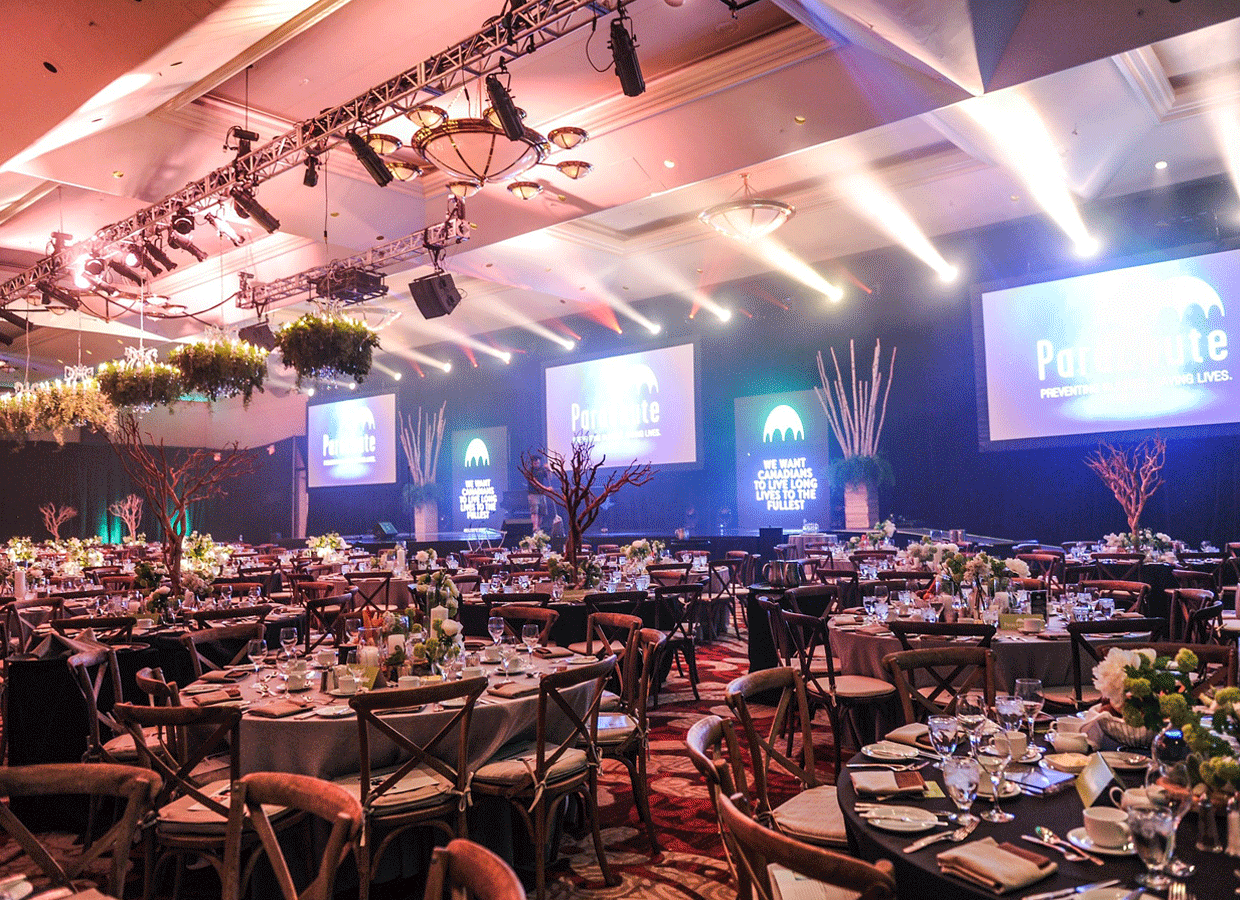 Soirées de Gala - Daph Travel